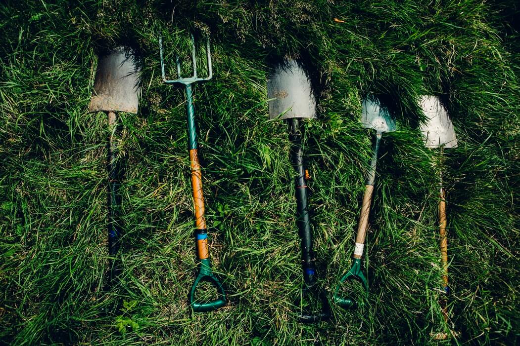 Ultimate Guide How To Start A Vegetable Garden - The Gardening Dad