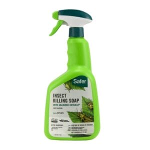 10 Best Insecticides for your Vegetable Garden - The Gardening Dad
