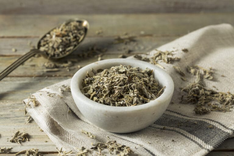 How to Grow Garden Sage Plant for Beginners - The Gardening Dad