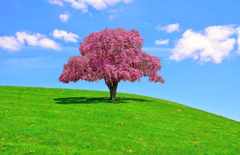 10 MOST Common Iowa Plants (2023 Guide) - The Gardening Dad