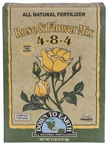 10 Best Fertilizer For Roses 2020 - The Gardening Dad