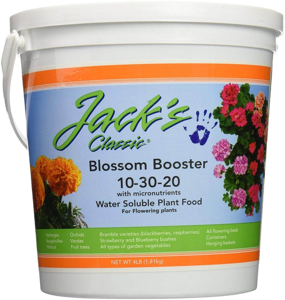 10 Best Flower Fertilizers (2023) - The Gardening Dad