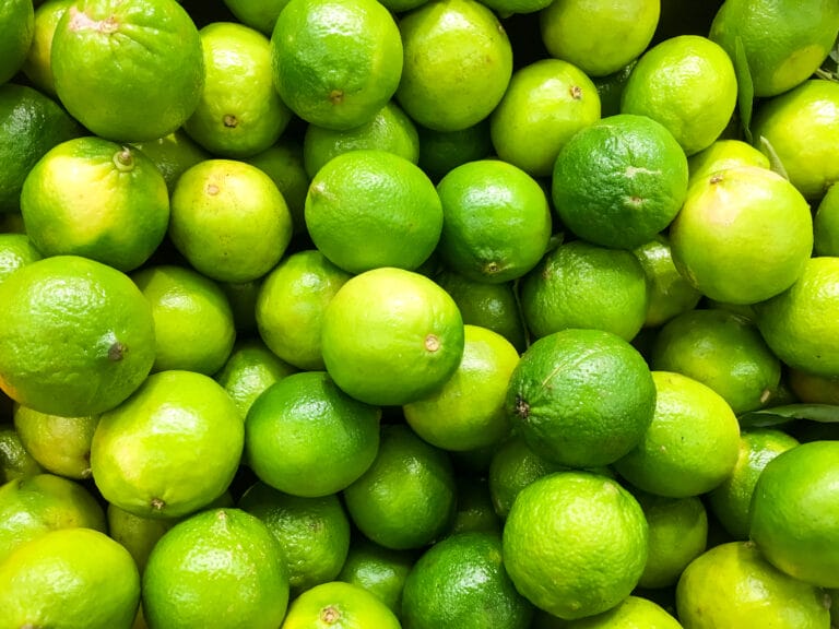 How To Grow A Lime Tree From Seed In Posts - The Gardening Dad