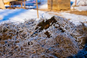 10 Proven Winter Composting Tips - The Gardening Dad