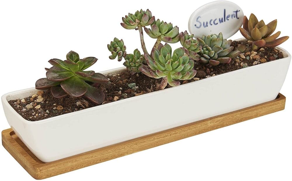 10 Best Window Boxes for Gardeners - The Gardening Dad