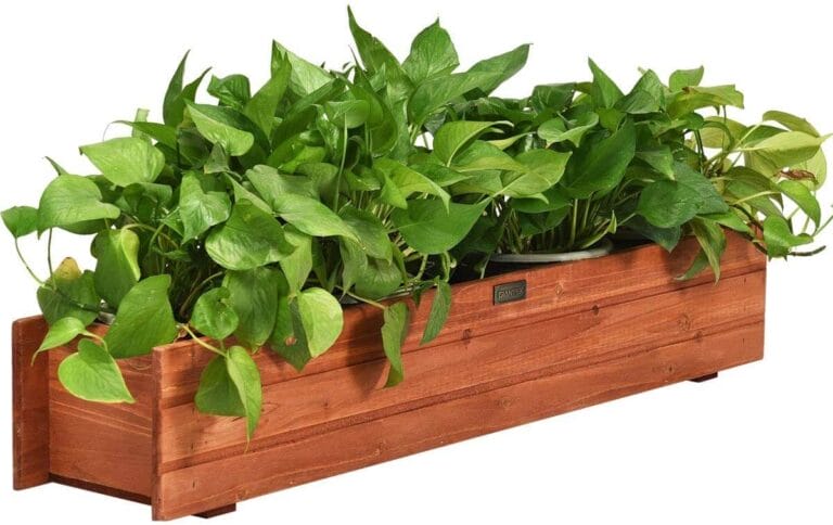 10 Best Window Boxes for Gardeners - The Gardening Dad