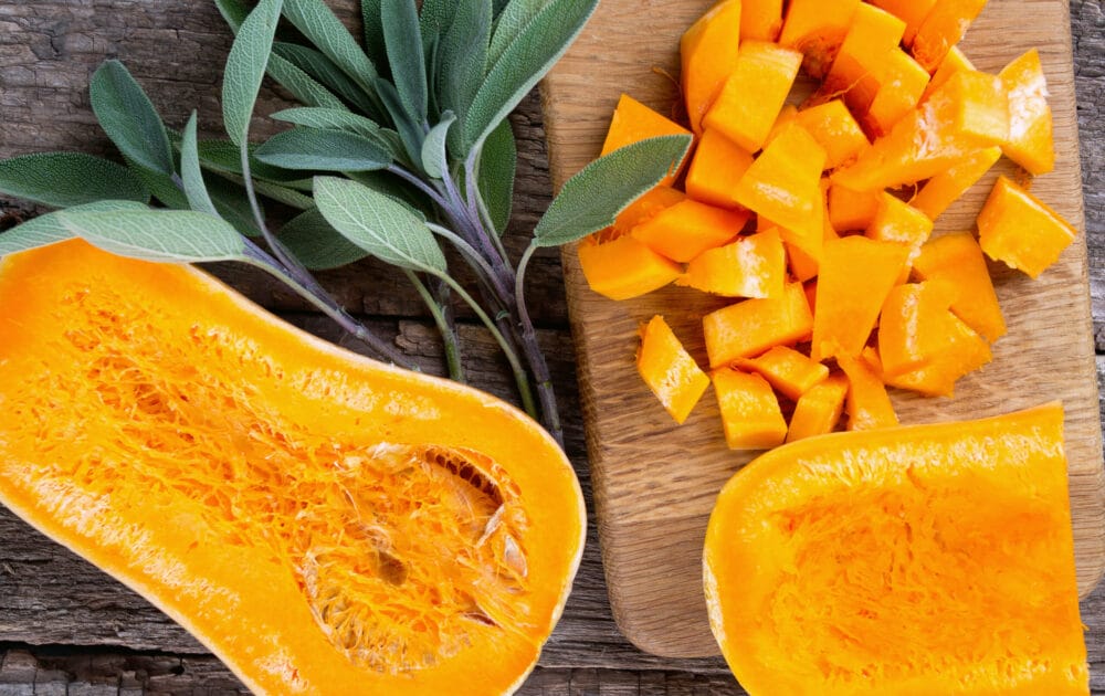 5 Easy Tips How to Growing Squash from Seed - The Gardening Dad