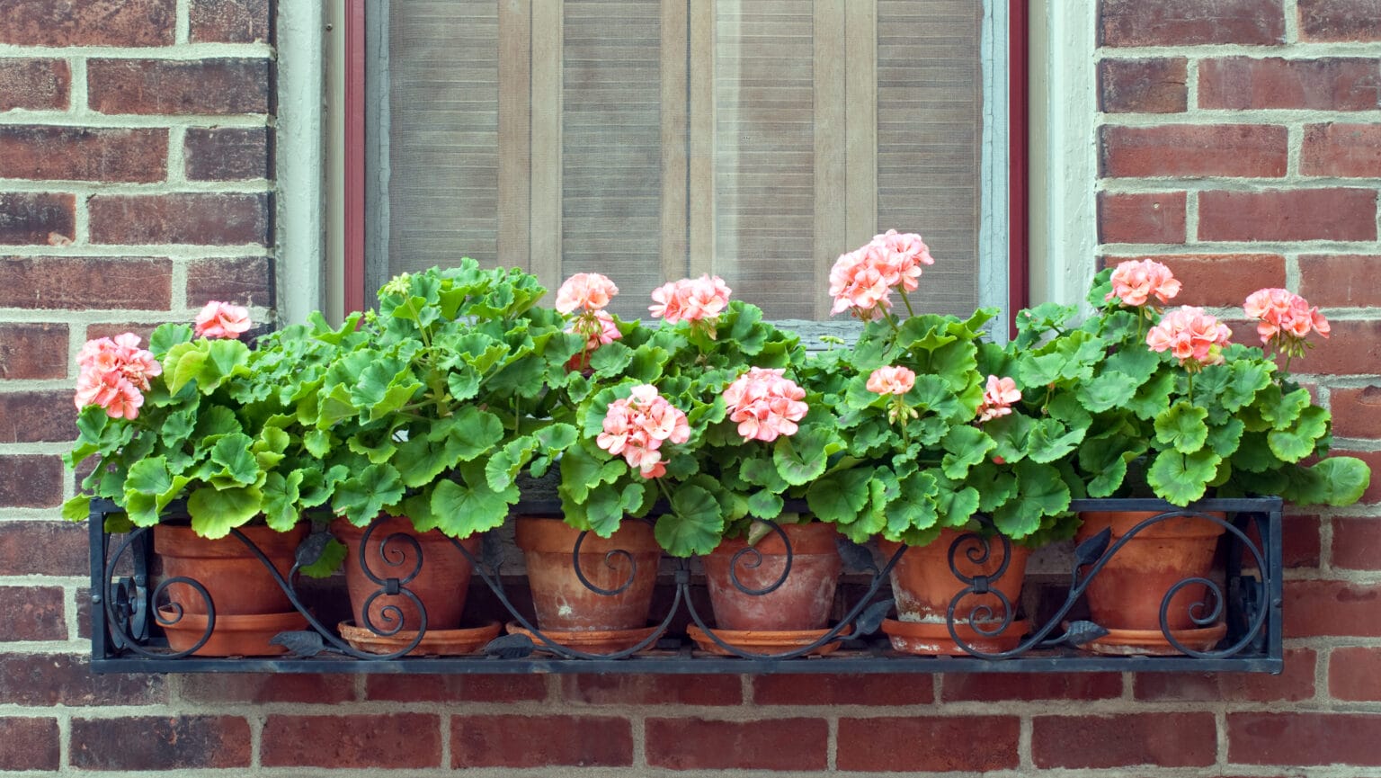 10 Best Window Boxes for Gardeners - The Gardening Dad