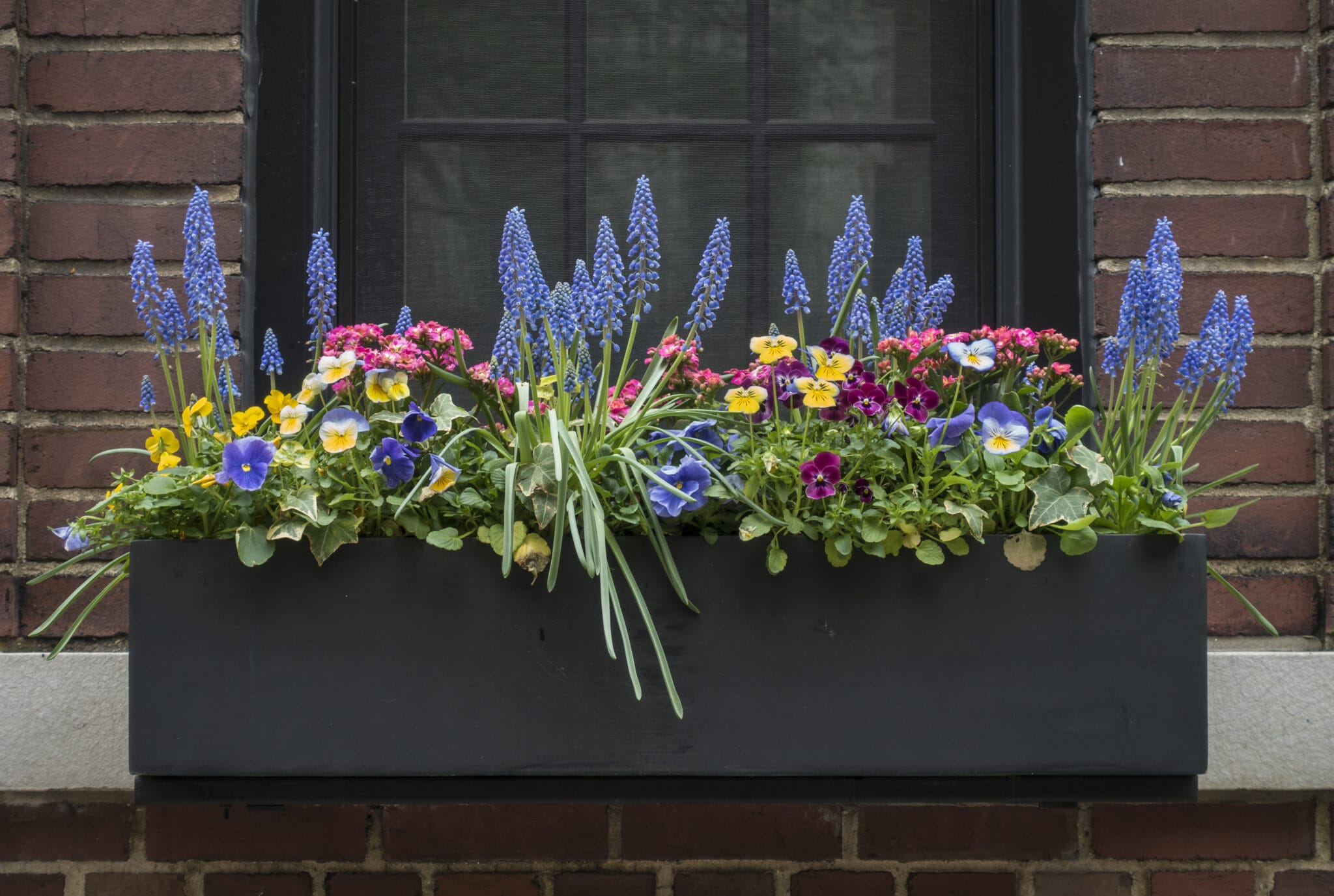 10 Best Window Boxes for Gardeners - The Gardening Dad
