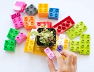 10 Indoor Gardening Activities For Kids - The Gardening Dad