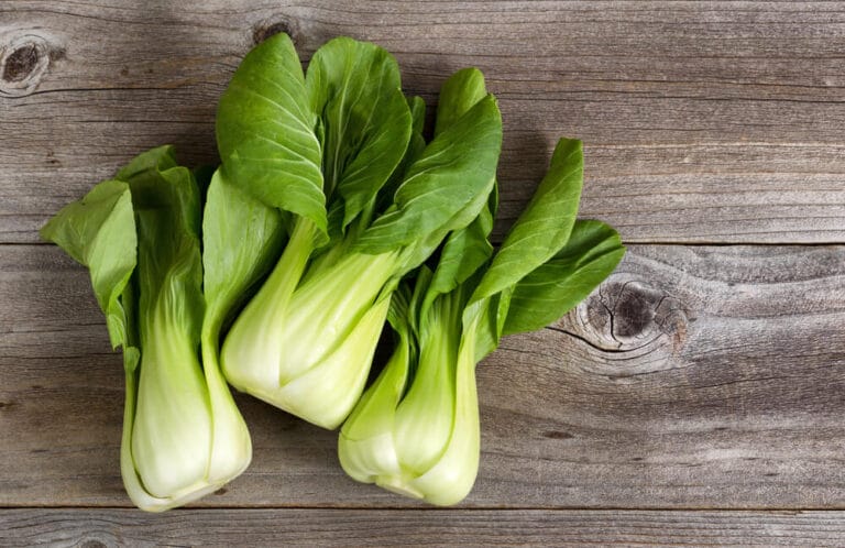 6 Quick Tips How To Grow Bok Choy - The Gardening Dad