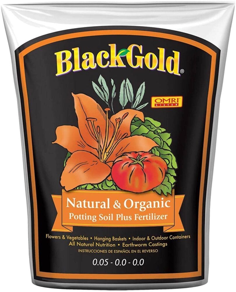 10 BEST Soil for Better Orange Trees (2023) - The Gardening Dad