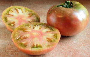 10 BEST Tomatoes to Grow in Indiana (2023) - The Gardening Dad
