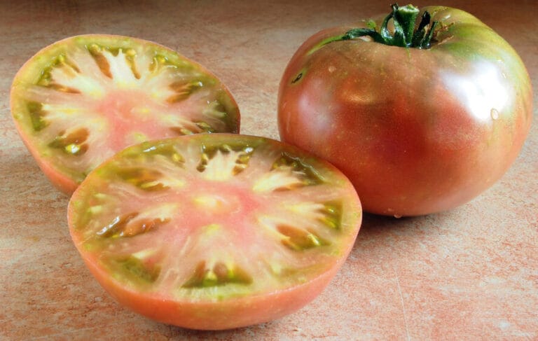 10 Best Tomatoes to Grow in Ohio (2023 Guide) - The Gardening Dad