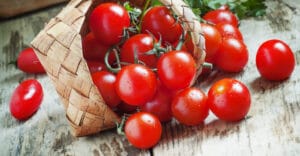 10 BEST Tomatoes to Grow in Iowa (2023) - The Gardening Dad