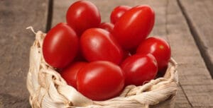 10 BEST Tomatoes to Grow in Indiana (2023) - The Gardening Dad
