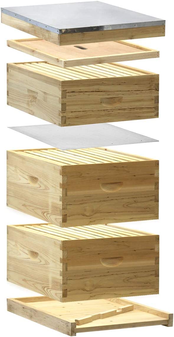 10 BEST Beehives (2023 Guide) - The Gardening Dad