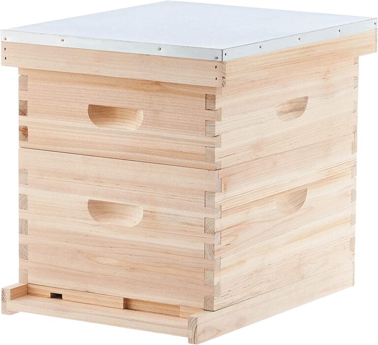 10 BEST Beehives (2023 Guide) - The Gardening Dad