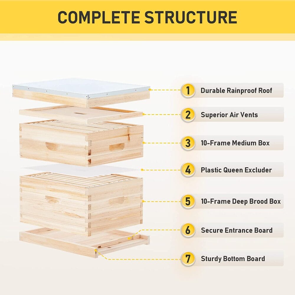10 BEST Beehives (2023 Guide) - The Gardening Dad