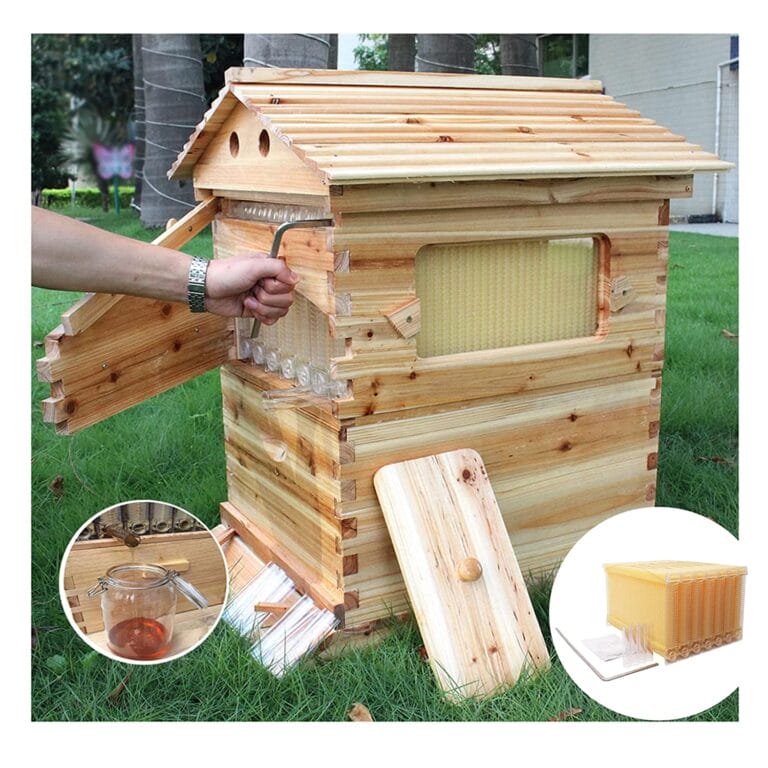 10 BEST Backyard Beehive Starter Kits (2023 Guide) - The Gardening Dad