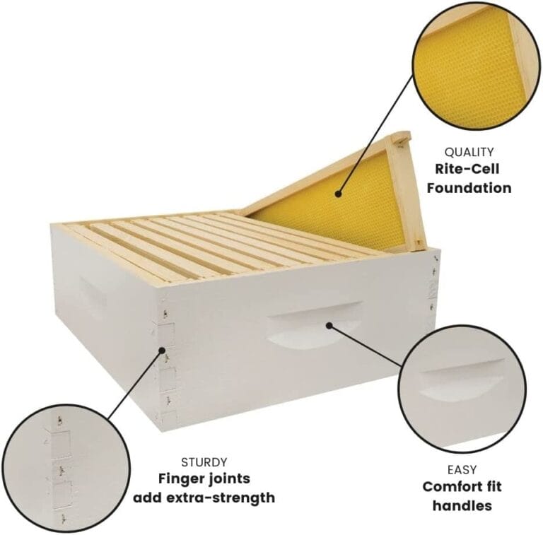 10 BEST Backyard Beehive Starter Kits (2023 Guide) - The Gardening Dad