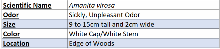 Iowa Mushroom Identification Guide (2023) - The Gardening Dad